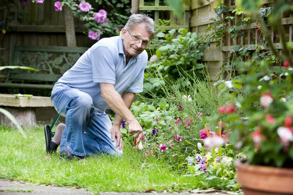 5 High-tech online gardening tools to plan your garden – C Home C